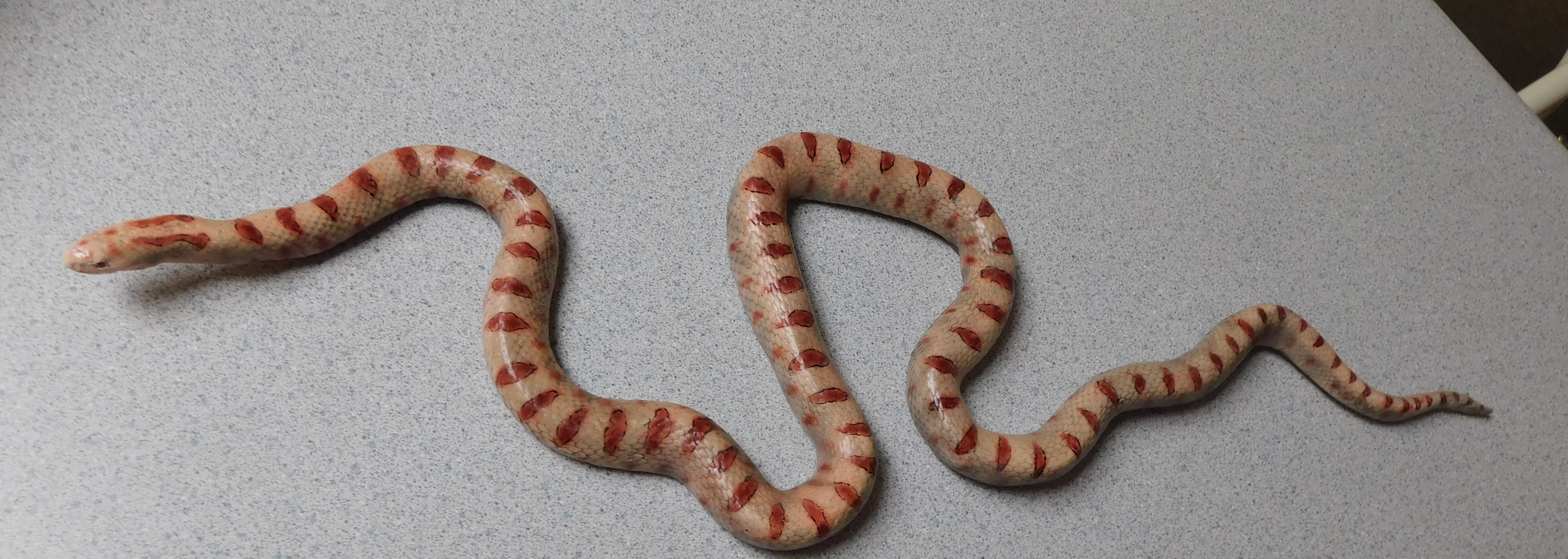 Morgan Reptile Replicas