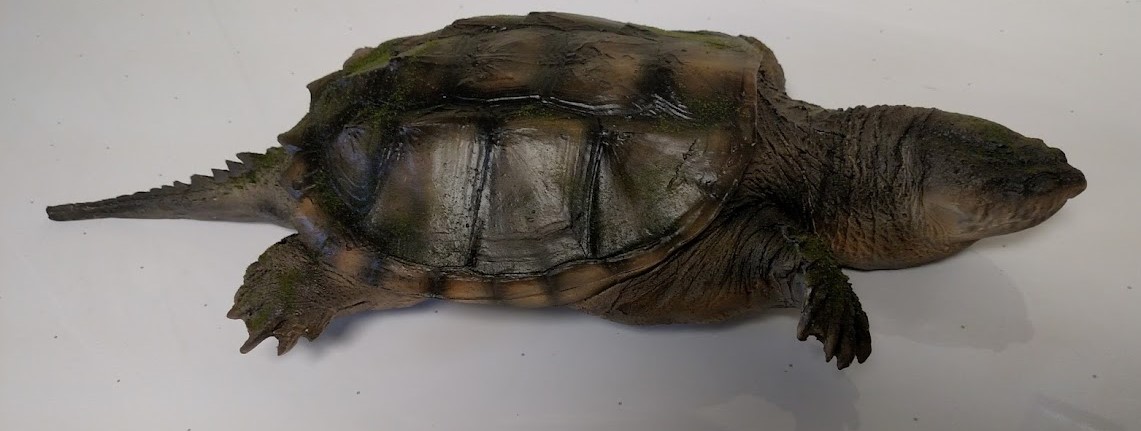 Morgan Reptile Replicas