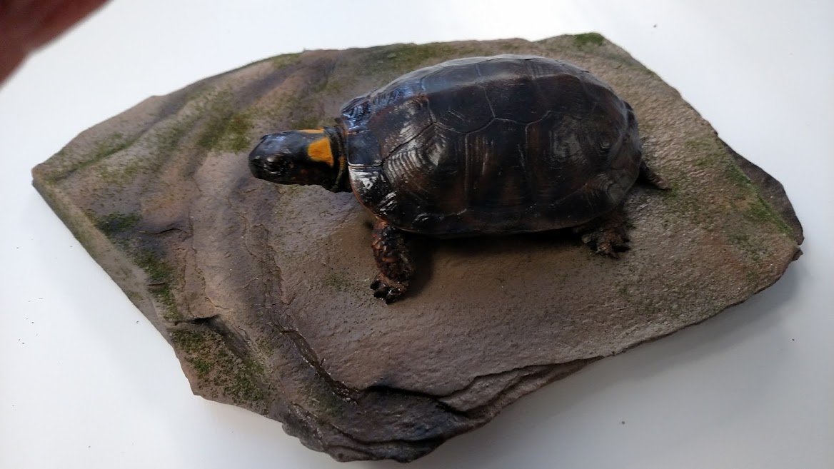 Morgan Reptile Replicas