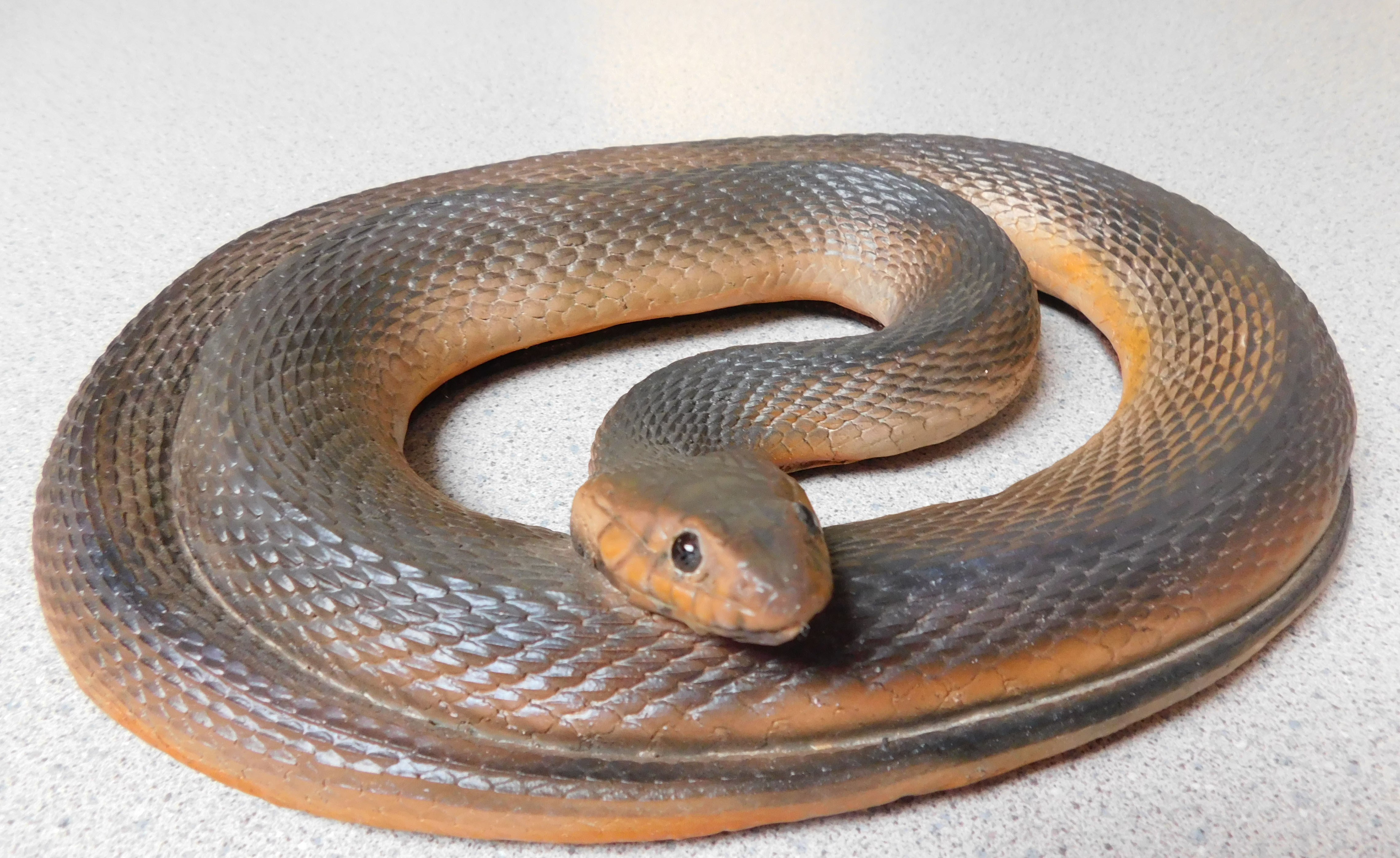 Morgan Reptile Replicas